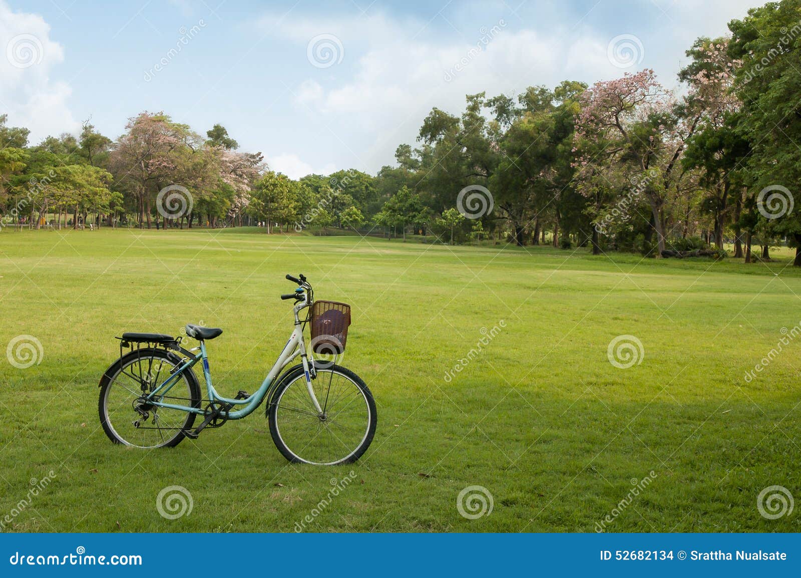 Bicycle in the park stock photo. Image of healthy, view - 52682134