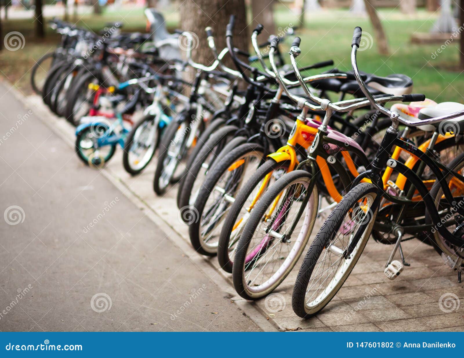 Bicycle Parking in a Public Park Stock Photo - Image of metal, paid ...