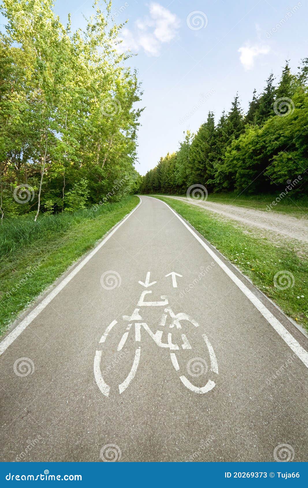 Bicycle path stock image. Image of marking, motion, cyclist - 20269373