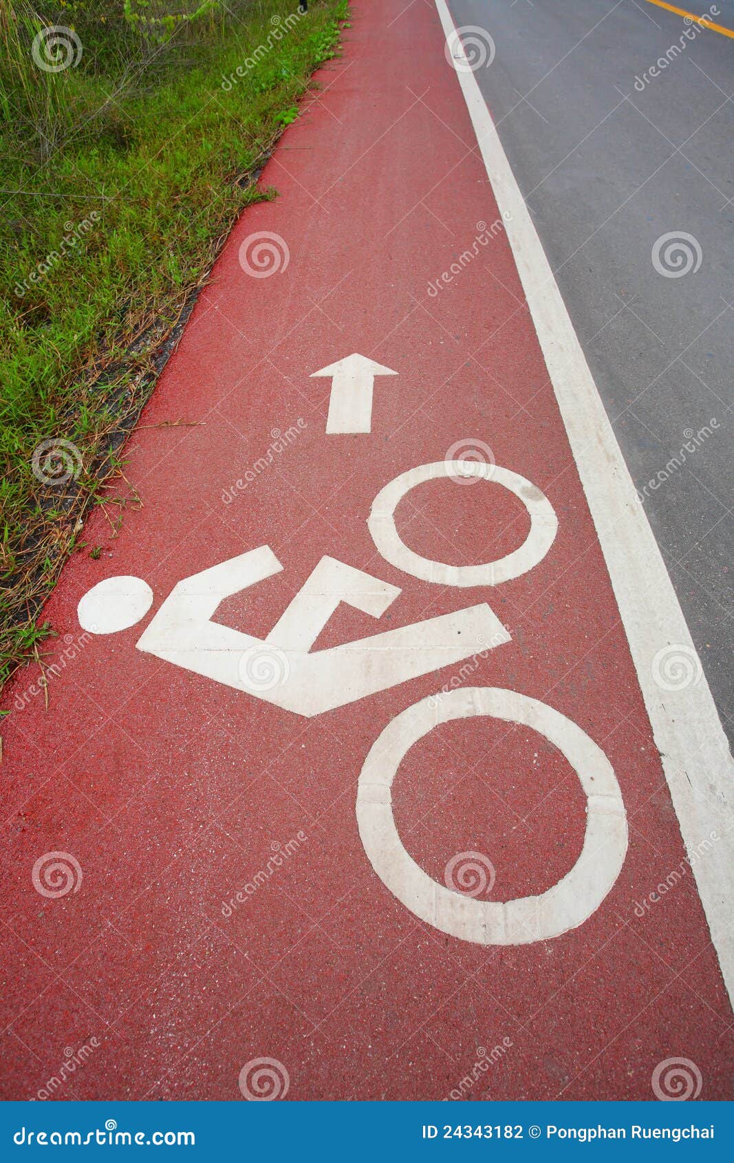 Bicycle path stock photo. Image of pathway, bike, route - 24343182