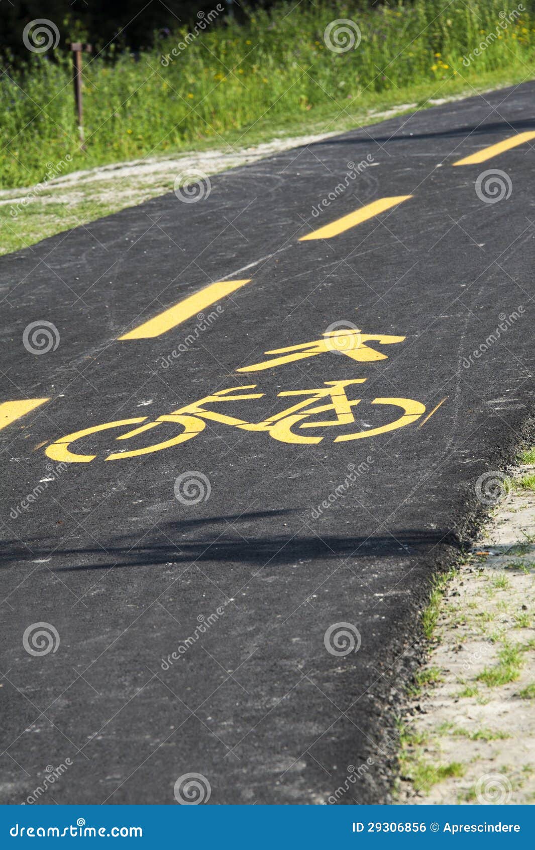 Bicycle path stock photo. Image of outdoor, ground, tourism - 29306856