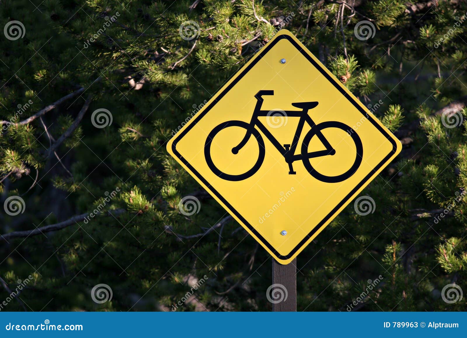 Bicycle Path Logo Symbol On Gray Asphalt. Close-up Royalty-Free Stock ...
