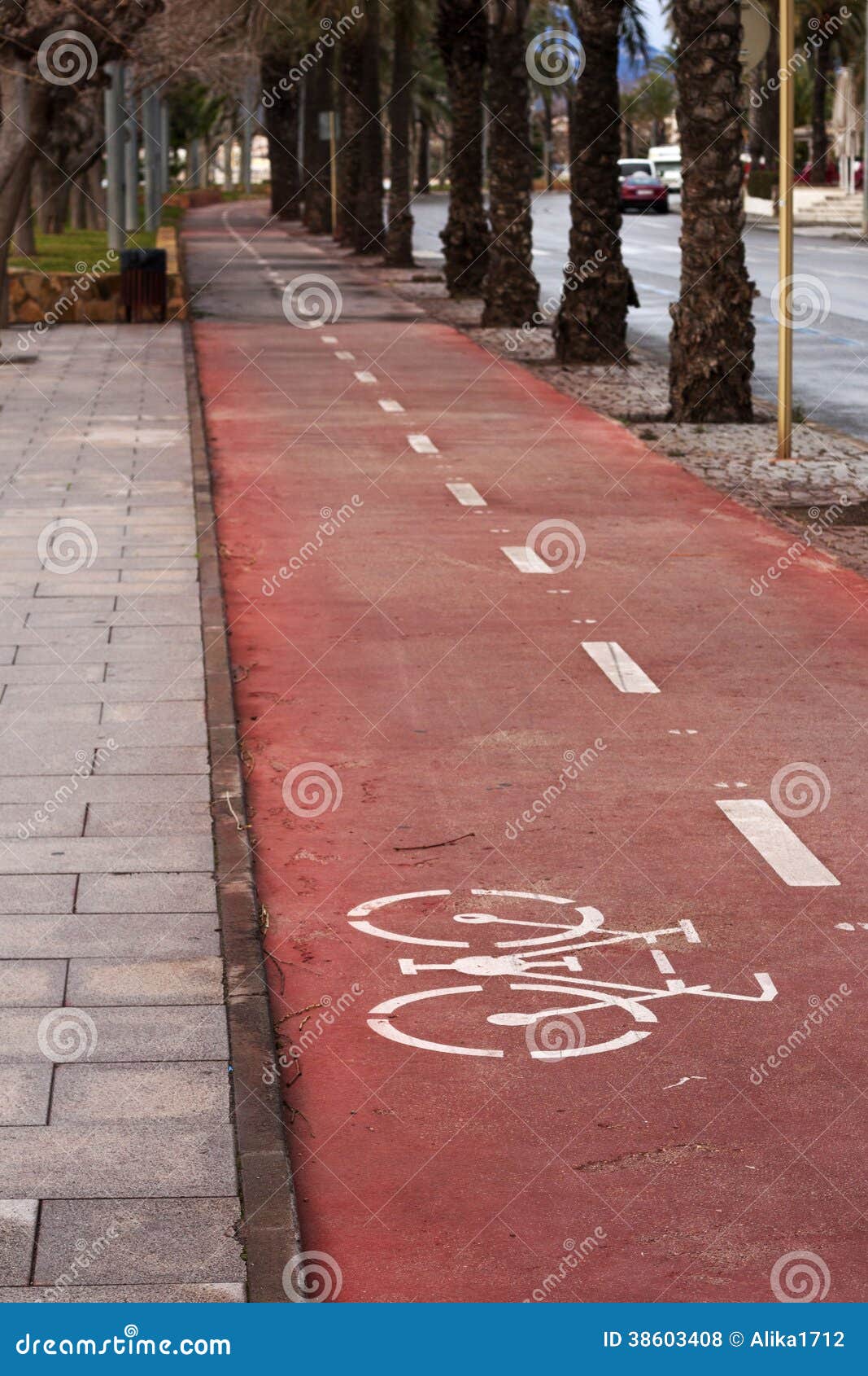 Bicycle path. stock photo. Image of ground, shade, asphalt - 38603408