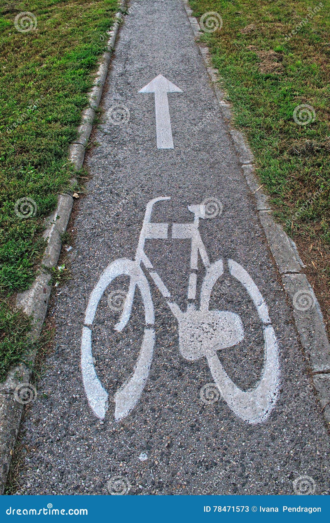 Bicycle Path stock image. Image of path, painted, bicycle - 78471573