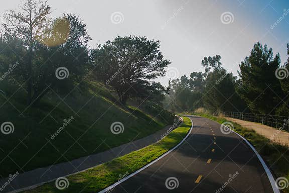 Bicycle Path stock image. Image of black, yellow, green - 49361423