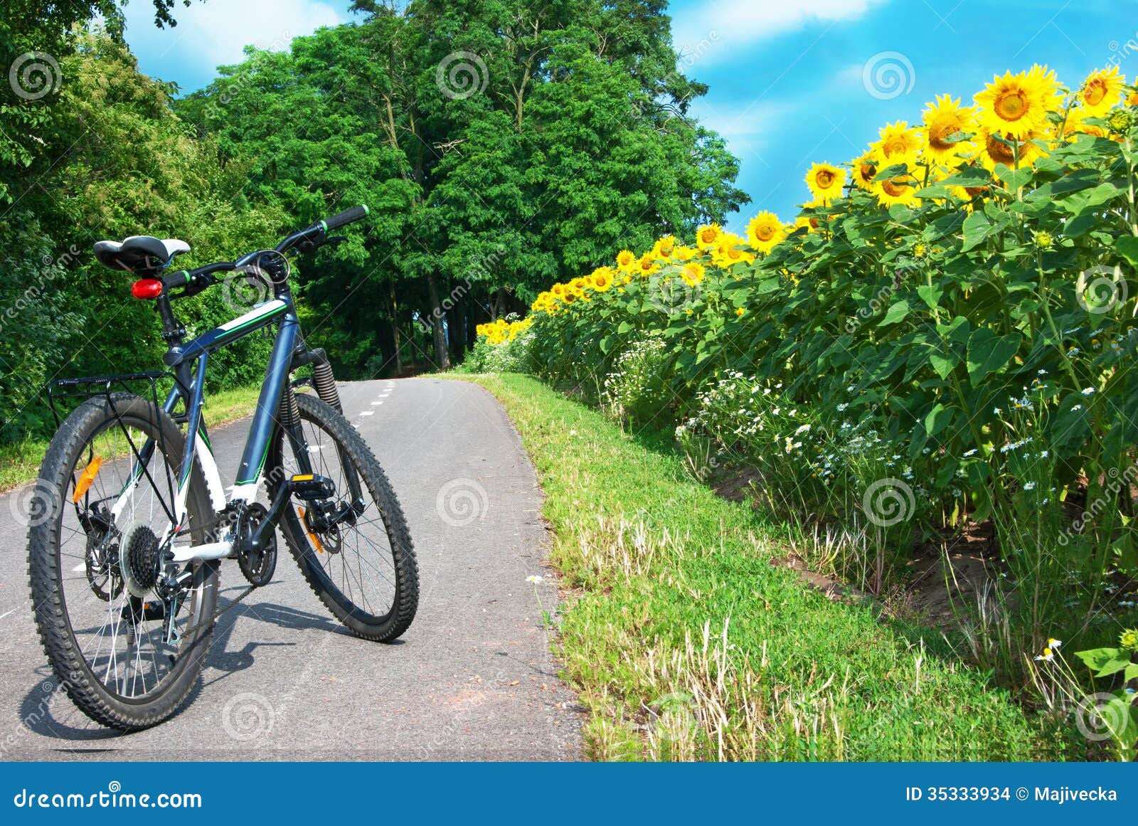 Bicycle path stock photo. Image of fitness, bicycle, green - 35333934