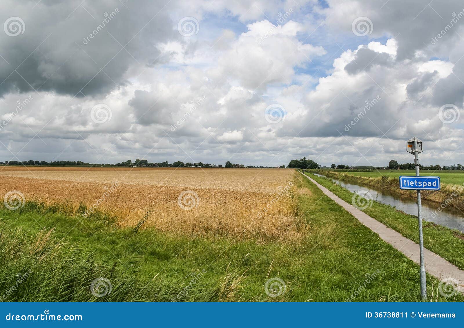 Bicycle Path through Dutch Landscape Stock Image - Image of holland ...