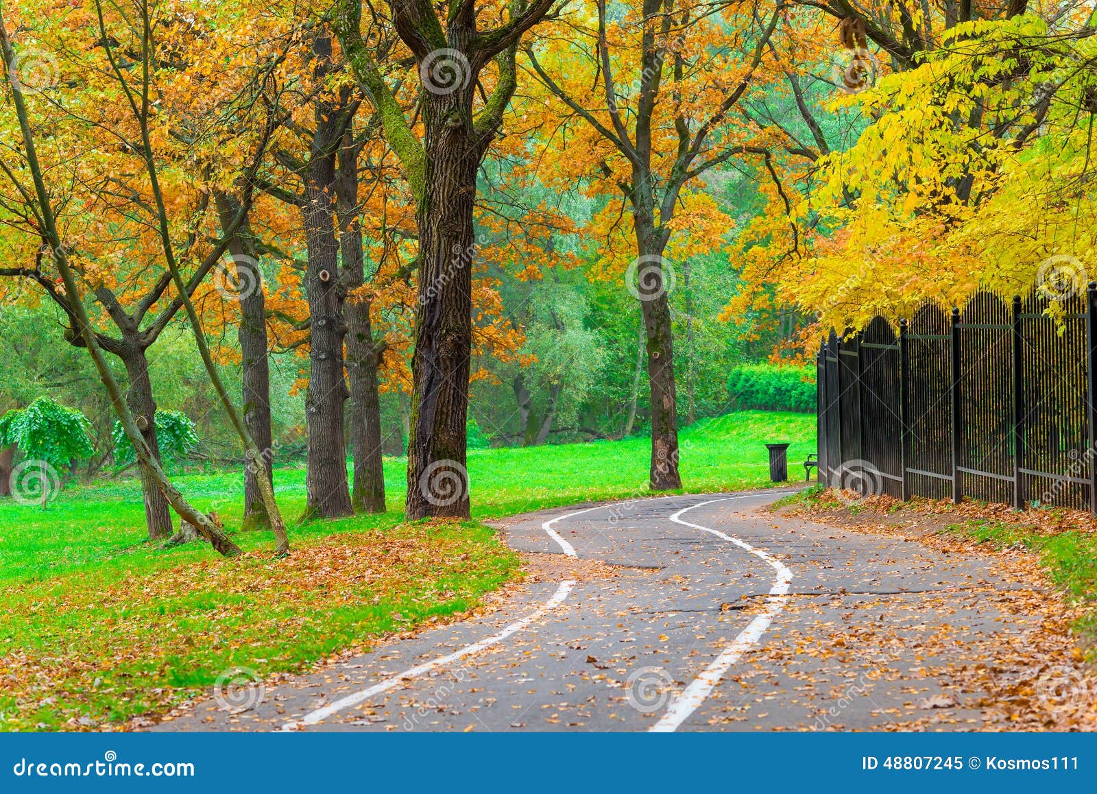 Bicycle Path in an Empty Park Stock Image - Image of foliage, colored ...