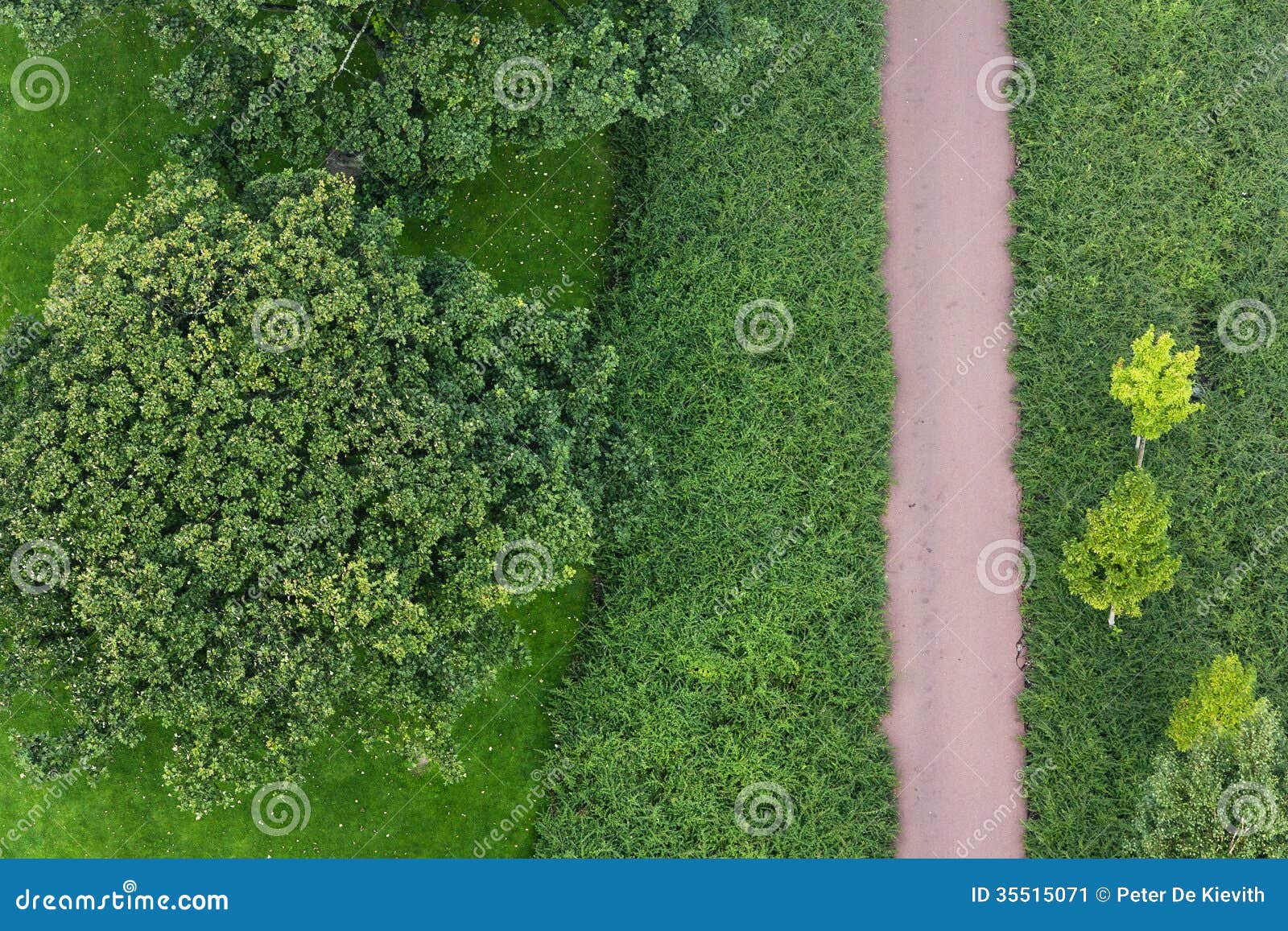 Bicycle path in green stock image. Image of lamppost - 35515071