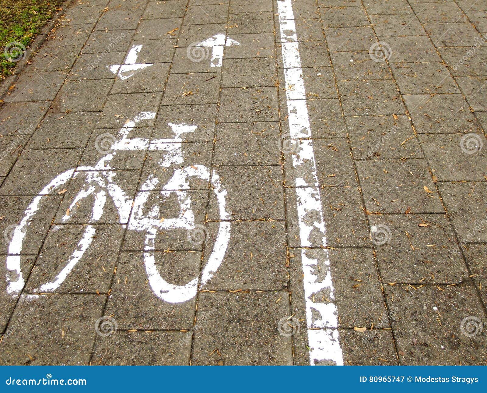 Bicycle Path stock image. Image of green, zone, bicycle - 80965747