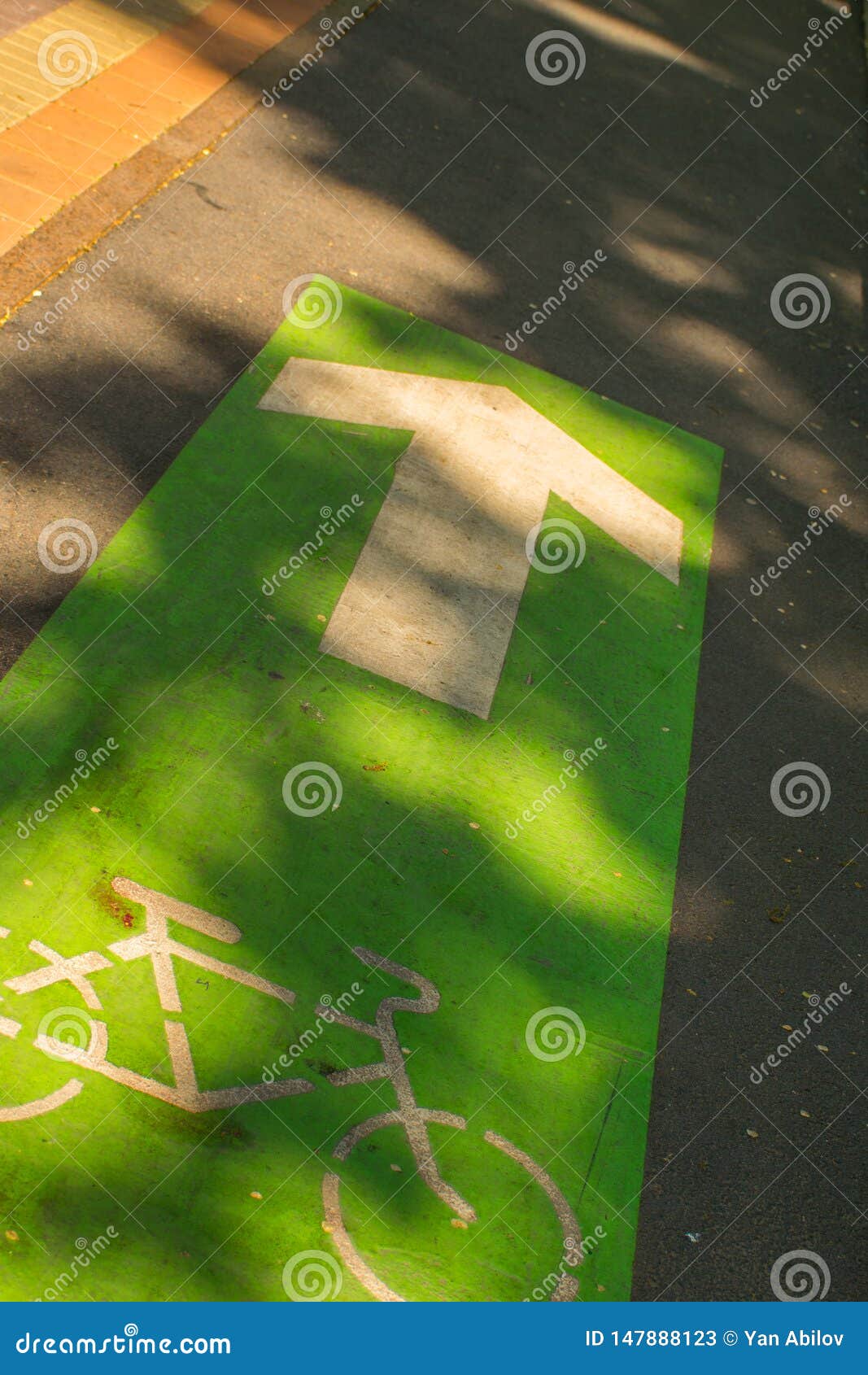 Green bike path for bike stock image. Image of cycle - 147888123