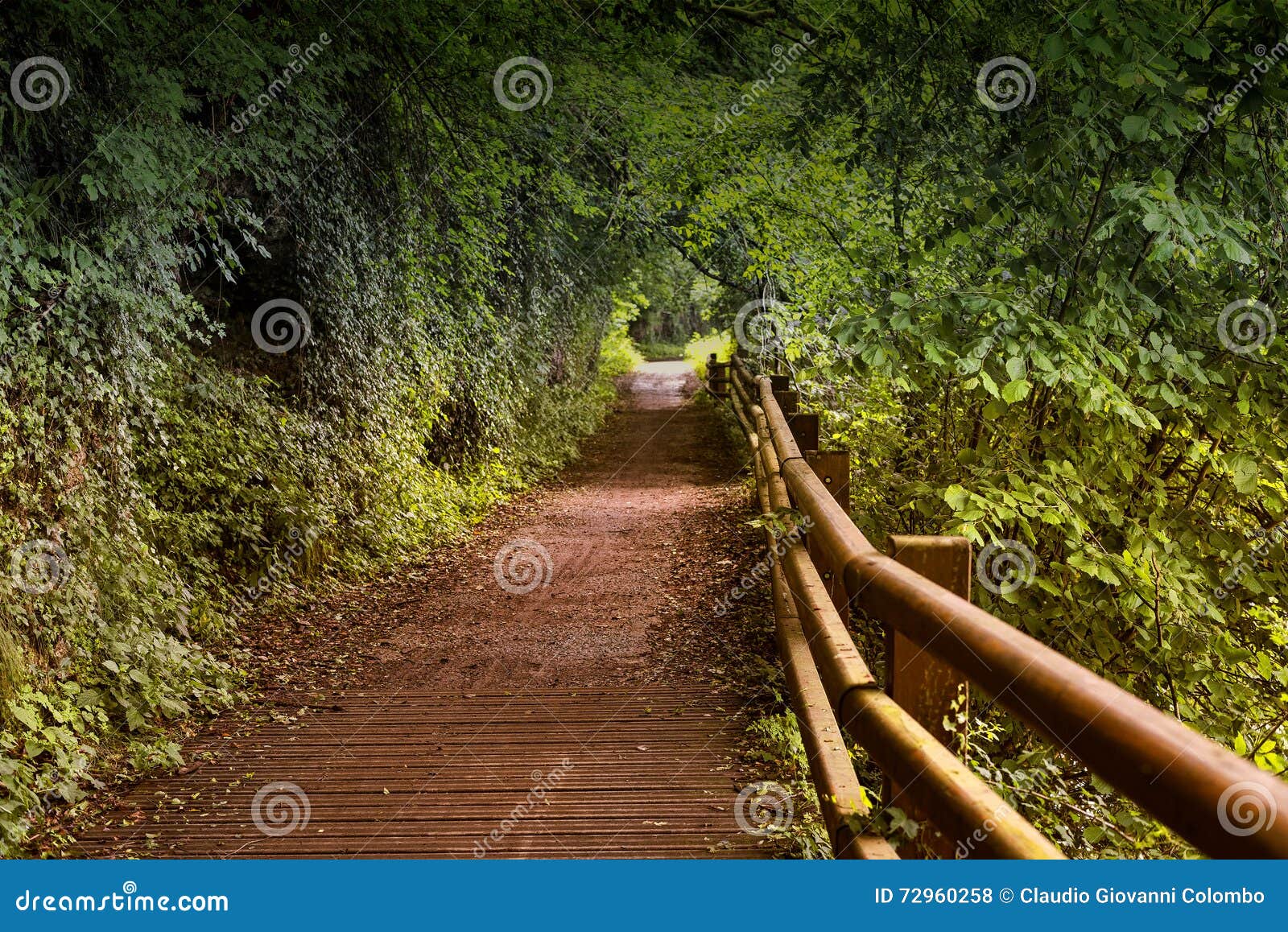 Bicycle Path of Lambro River (Brianza, Italy) Stock Photo - Image of ...