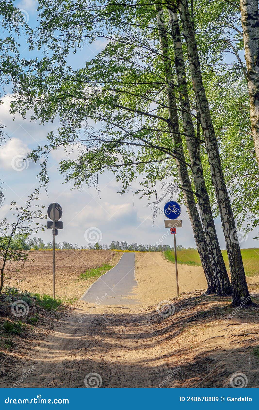 Bicycle Path Leading Out of the Forest Stock Image - Image of nature ...