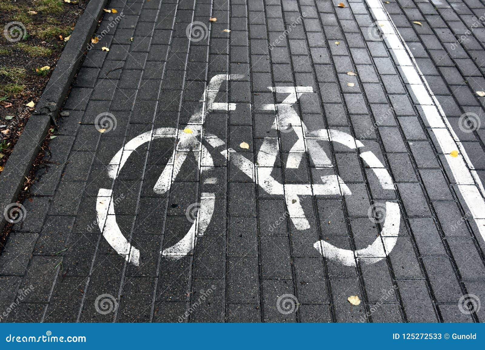 Bicycle Path Marked by Symbol Stock Image - Image of outdoors, pathway ...