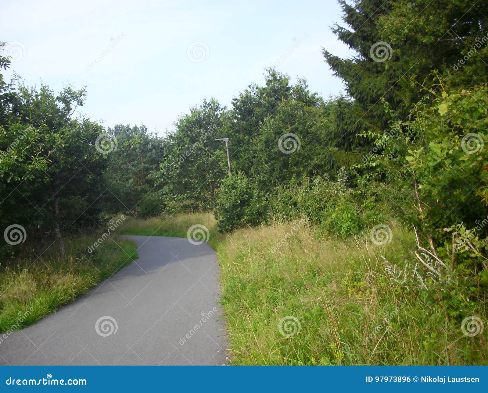 Bicycle Path through Nature Stock Photo - Image of green, path: 97973896