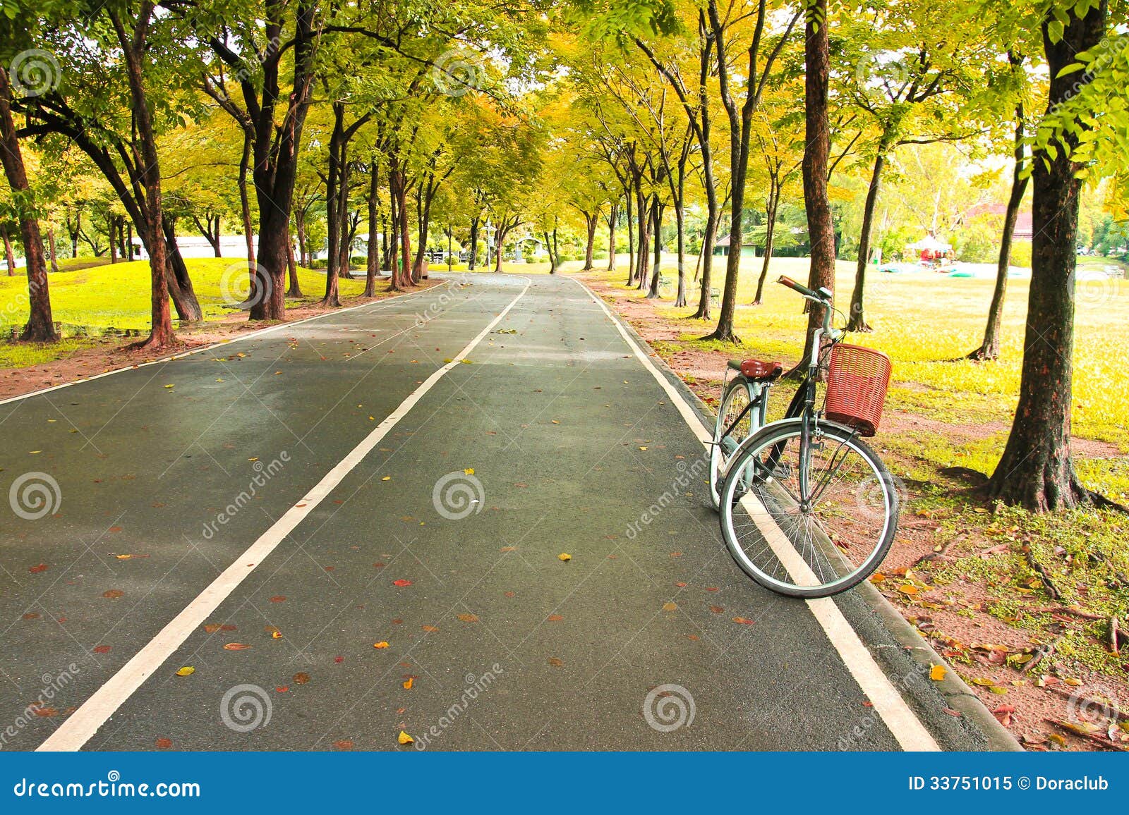 The Bicycle on Path of Park Stock Image - Image of journey, maple: 33751015
