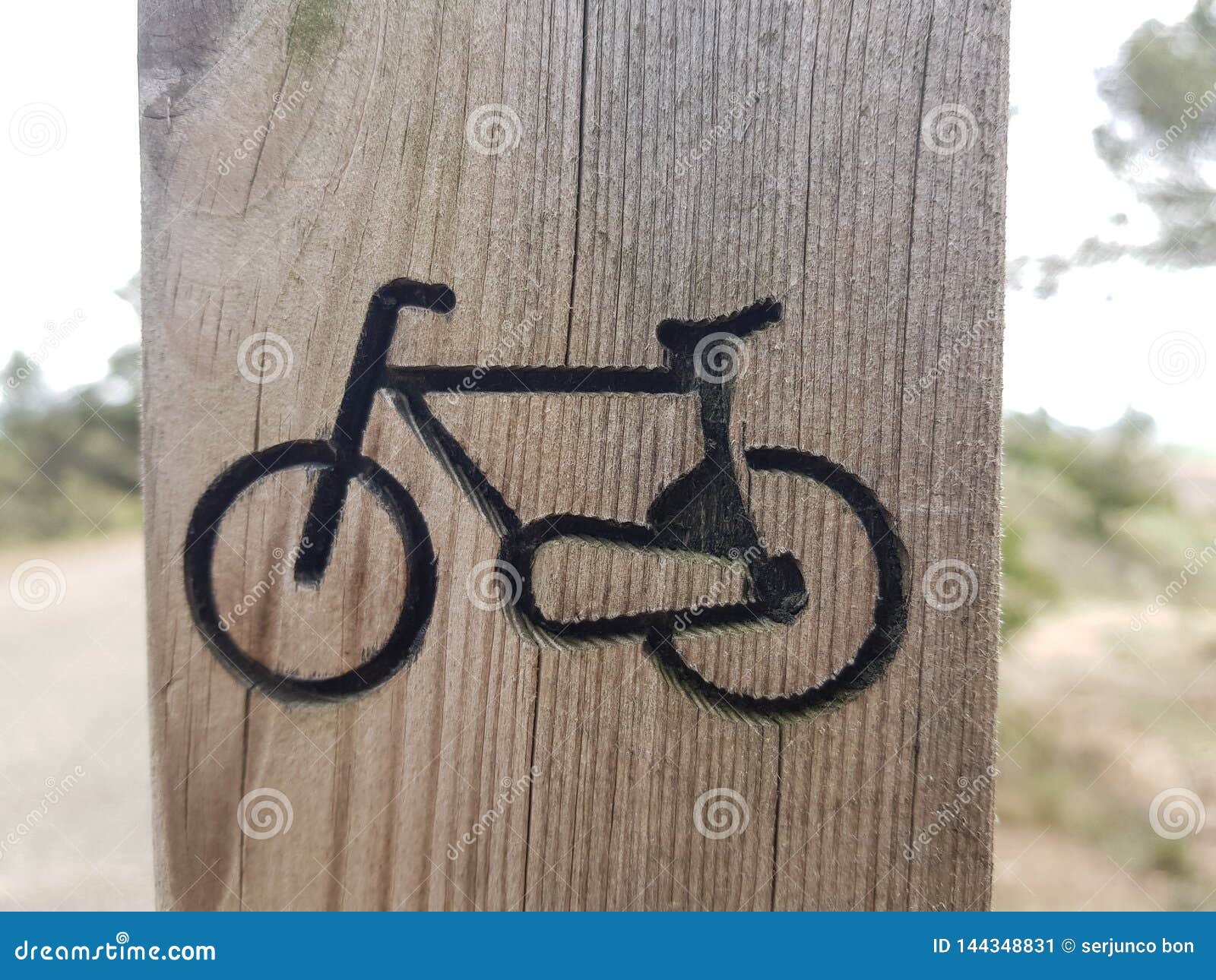 Bicycle Path through the Park, the Sign on a Wooden Landmark Stock ...