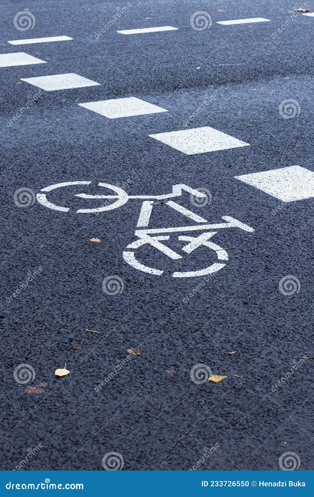 Bicycle Path Passing through the Pedestrian Crossing. Stock Photo ...