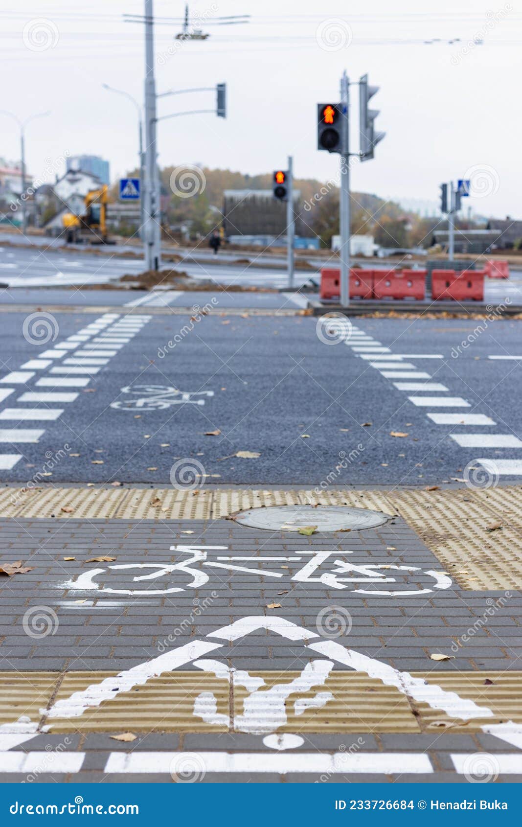 Bicycle Path Passing through the Pedestrian Crossing. Stock Photo ...