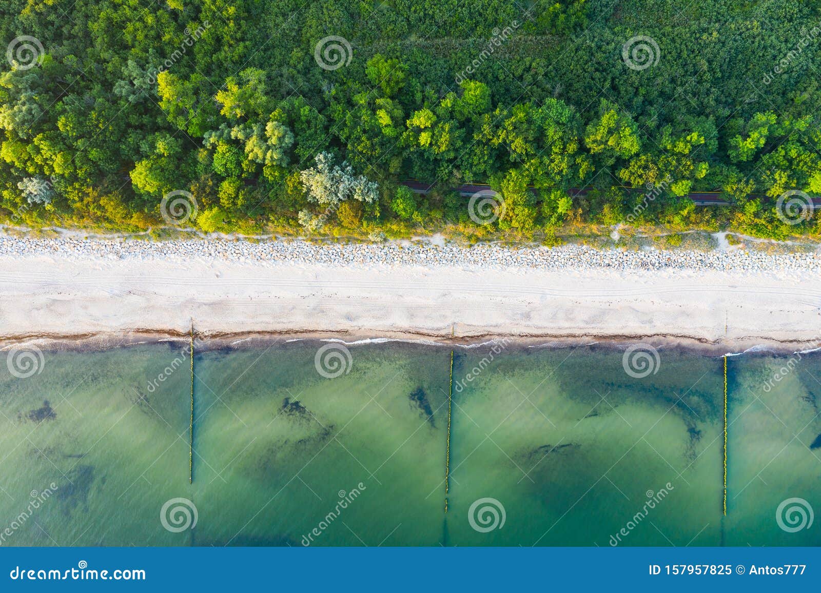 Bicycle Path between the Sea and Mangroves Stock Image - Image of ...