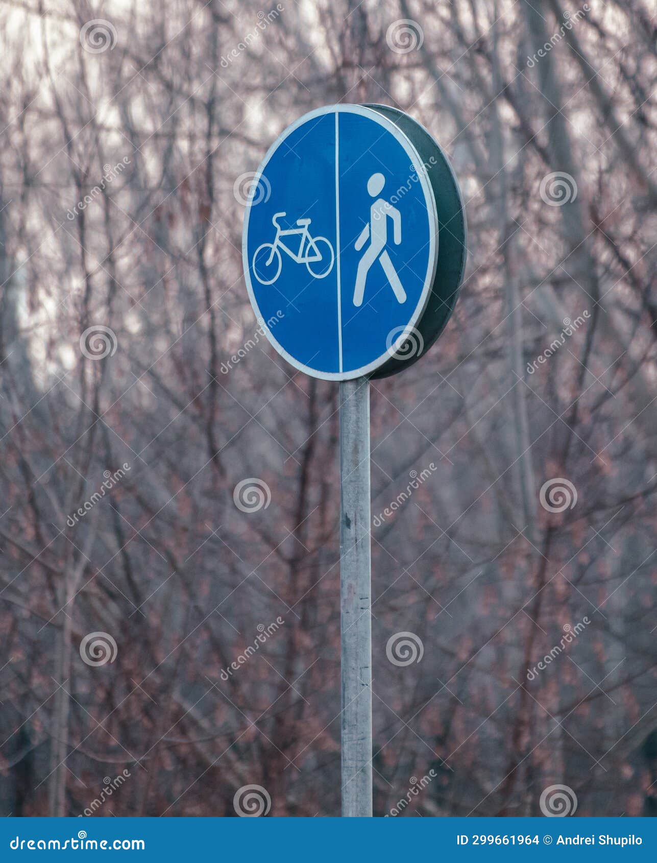 Bicycle Path Sign on City Streets Stock Photo - Image of sport, cyclist ...