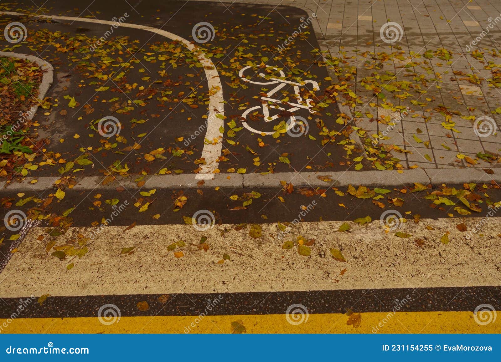 Marking on the bike path stock image. Image of bike - 231154255