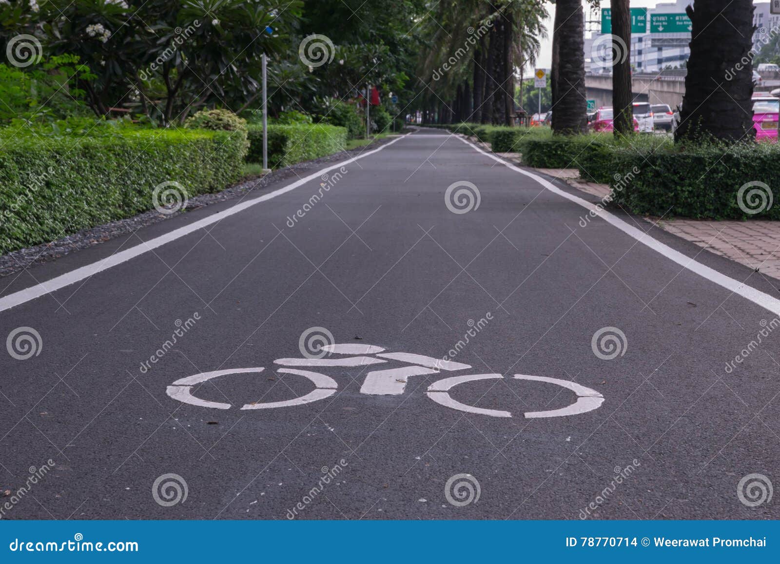 Bicycle path stock photo. Image of route, outdoor, street - 78770714