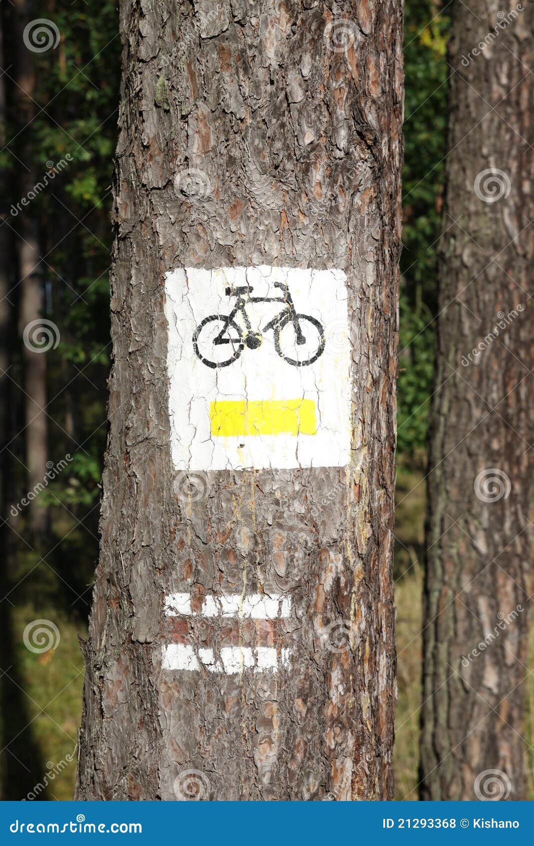 Bicycle Path Sign on the Tree Stock Photo - Image of path, park: 21293368