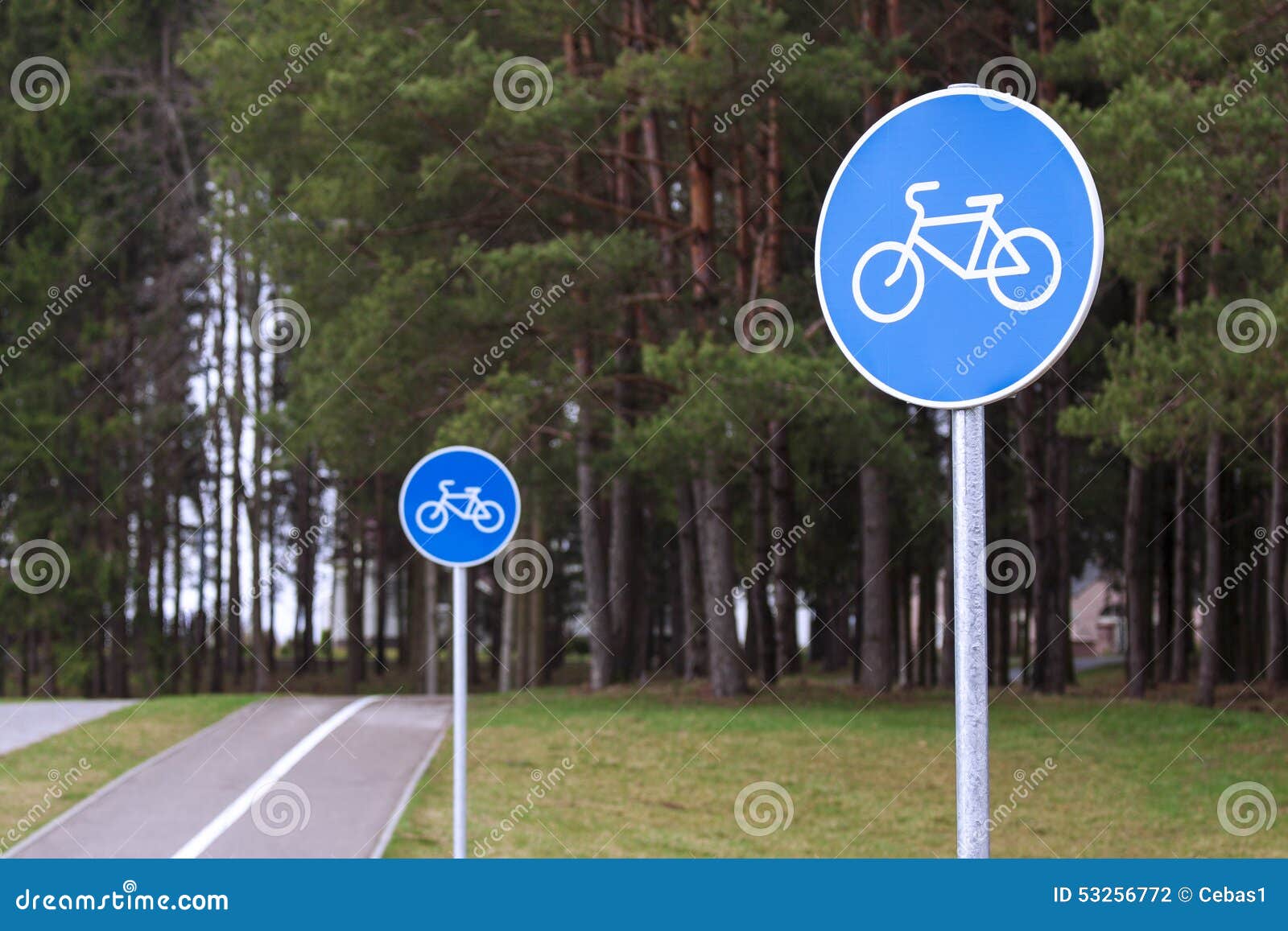 Bicycle Path Signs in a Park Stock Photo - Image of sports, cycle: 53256772