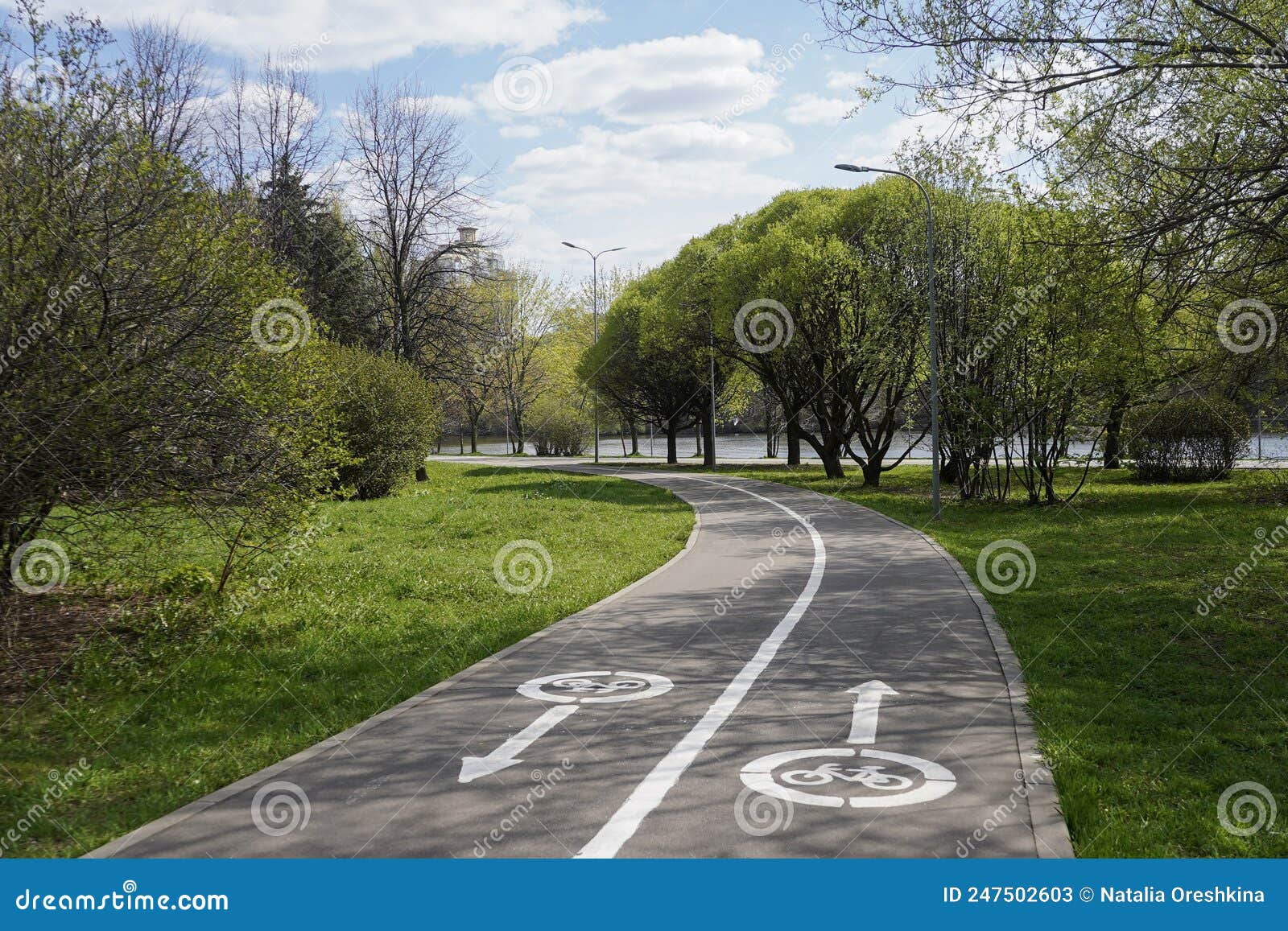 Bicycle Path with Signs in the Park with Trees in Summer Stock Image ...