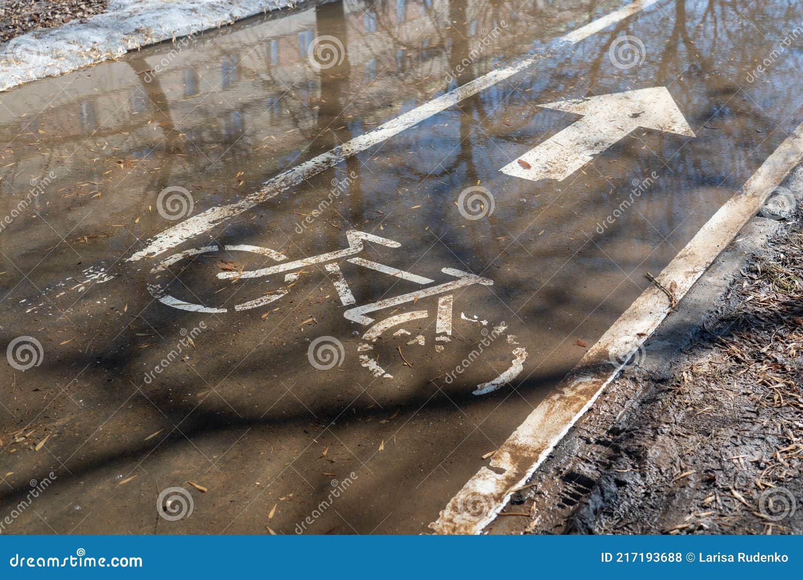 Bicycle Path Symbol on Asphalt. Springtime, Puddle, Mud and Unmelted ...