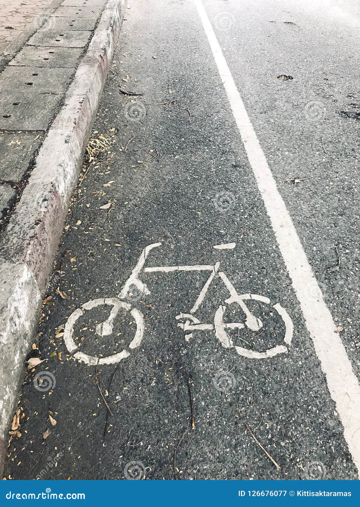 Bicycle Path Symbol on the Road. Stock Image - Image of exercise ...