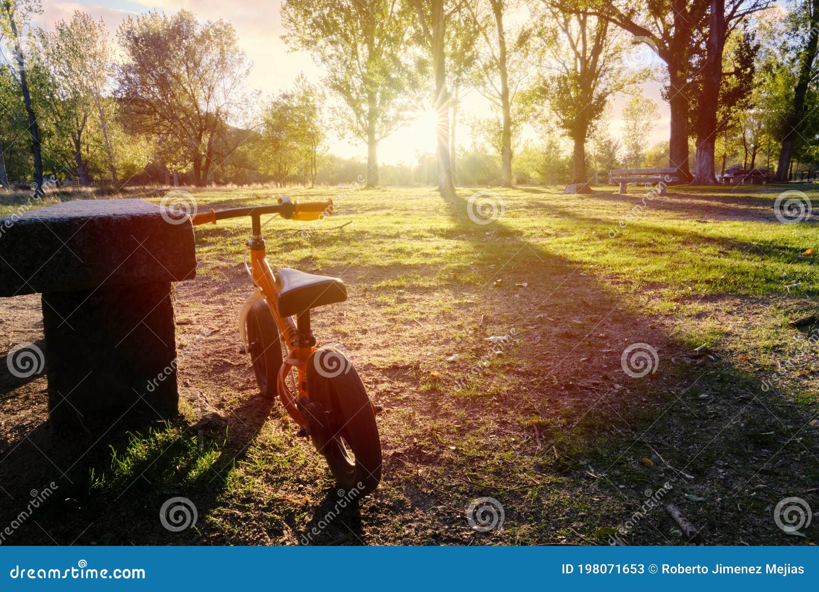 Bicycle without Pedals Resting on a Park Bench Stock Image - Image of ...