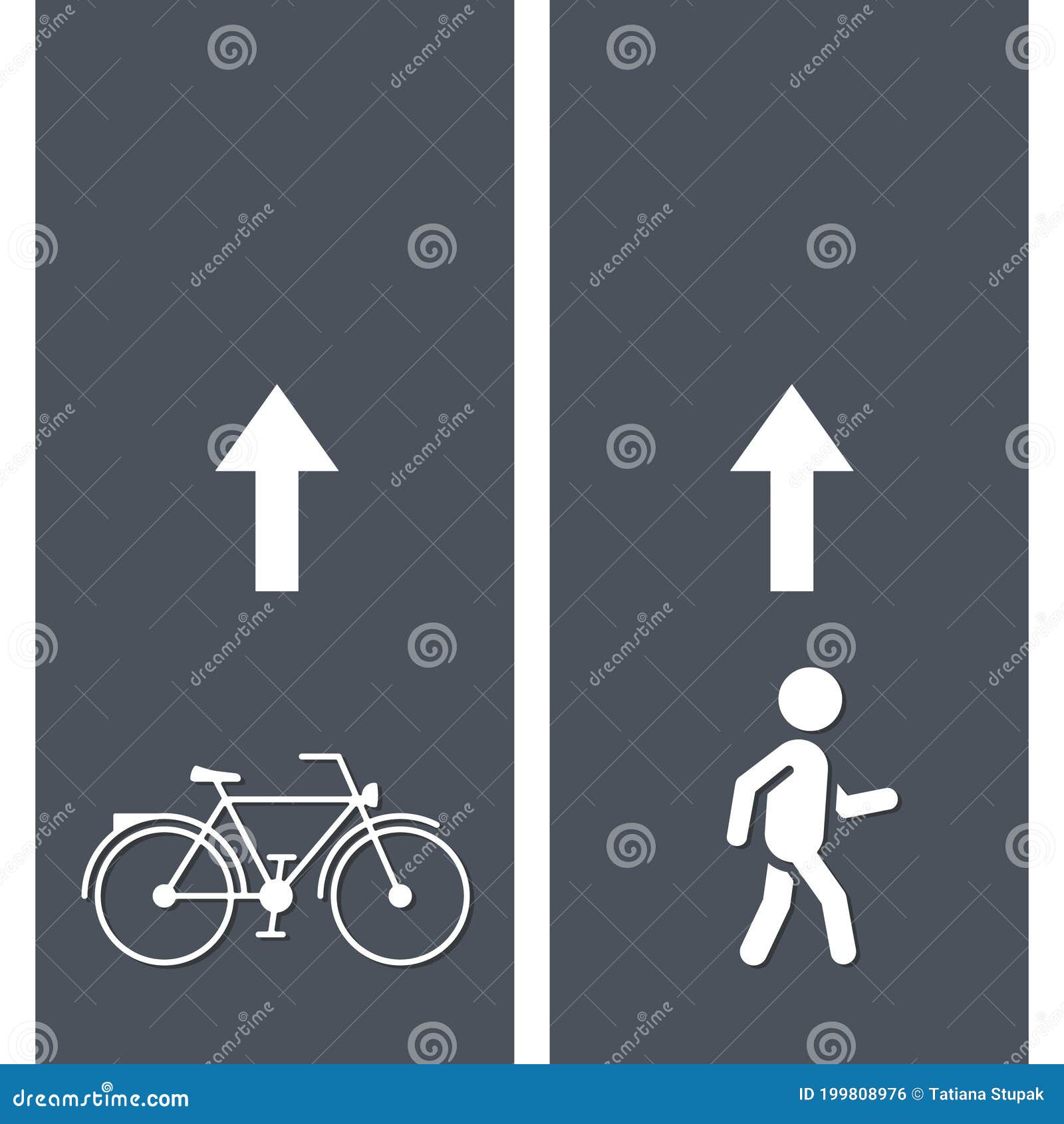 Bicycle and Pedestrian Paths. Walking Path and Bike Path Vector ...
