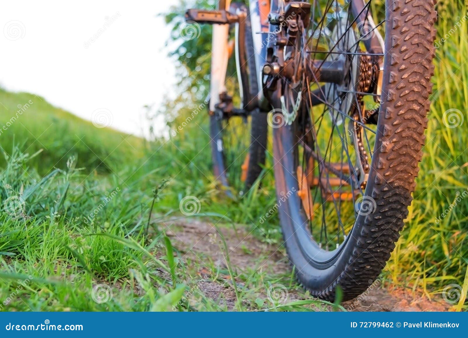 Bicycle Rear View on a Background of Grass Stock Photo - Image of biker ...