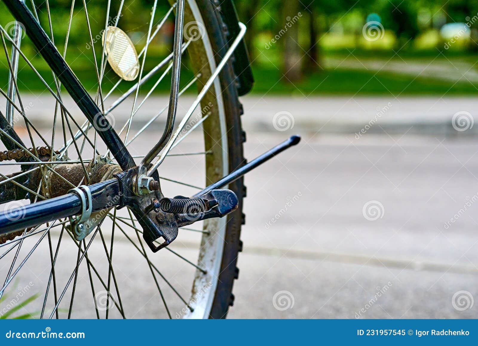 Bicycle Rear Wheel with Brakes on the Background of the Road and Park ...