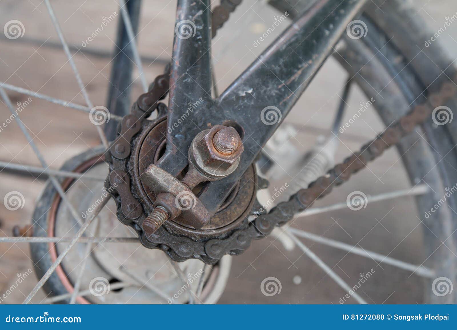 Bicycle Rear Wheel and Drive Chain Closeup Stock Photo - Image of fiber ...