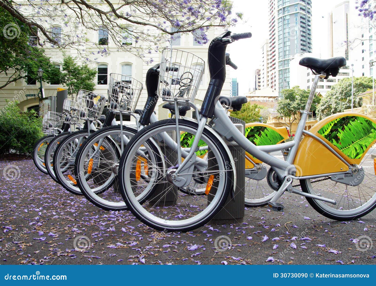 Bicycle Rent Point in Brisbane Stock Photo - Image of cheap, friendly ...
