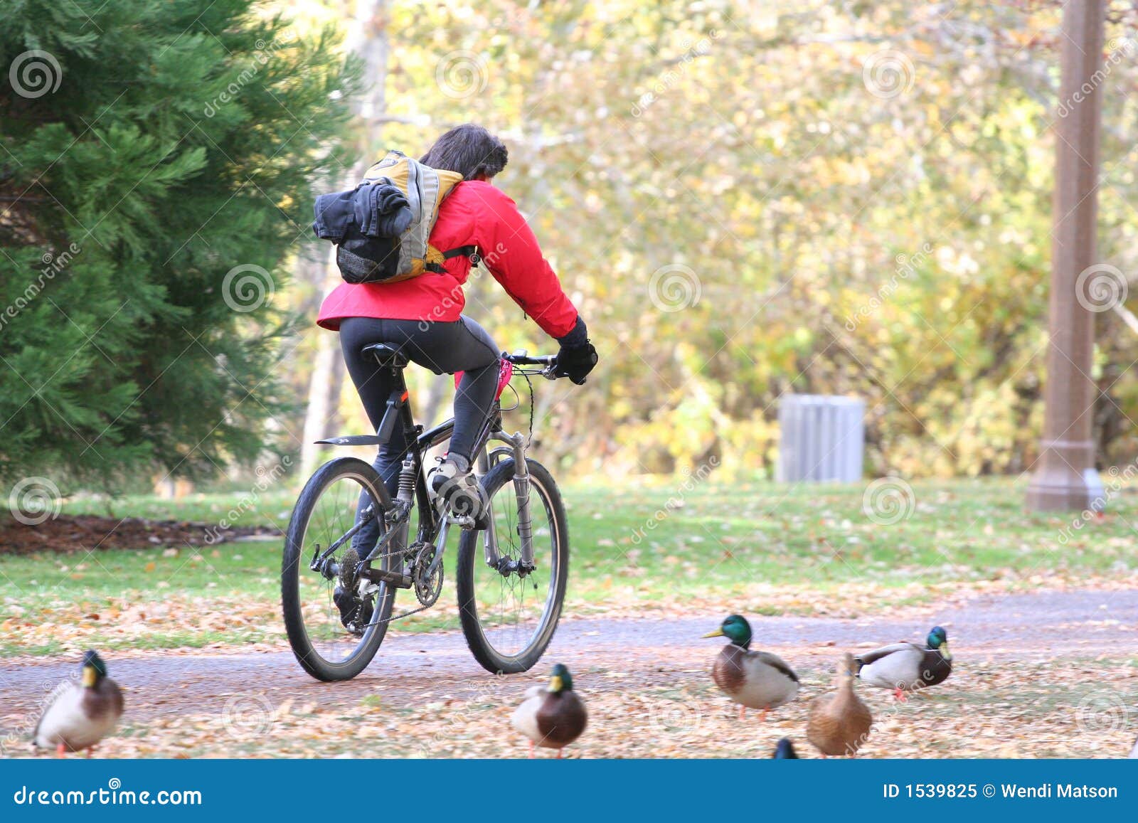 Bicycle ride stock image. Image of transportation, woman - 1539825