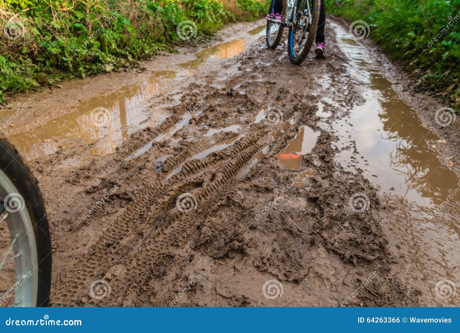 Bicycle Ride through Muddy Dirt Road Stock Photo - Image of action ...