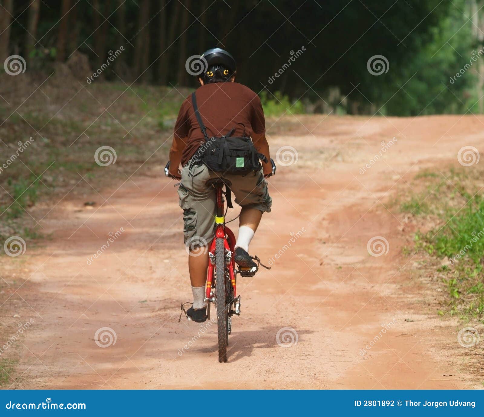 Bicycle rider stock photo. Image of dirt, road, ride, forest - 2801892