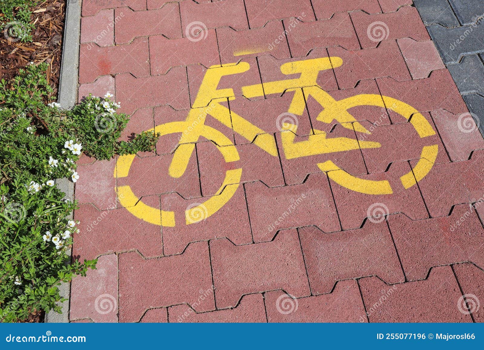 Bicycle Road Sign on the Street Stock Photo - Image of city, sign ...