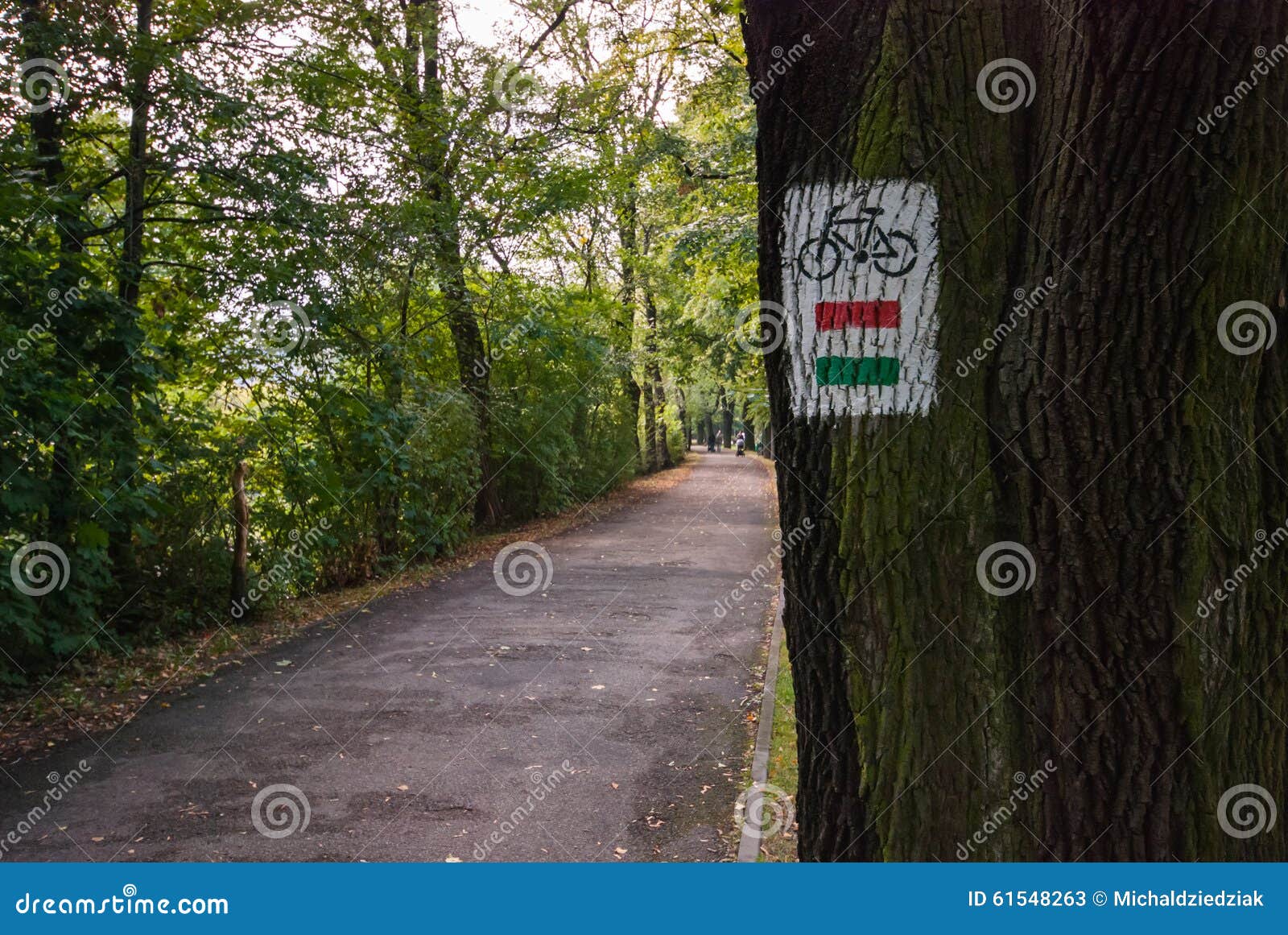 Bicycle Road Sign on the Tree Stock Image - Image of road, bike: 61548263