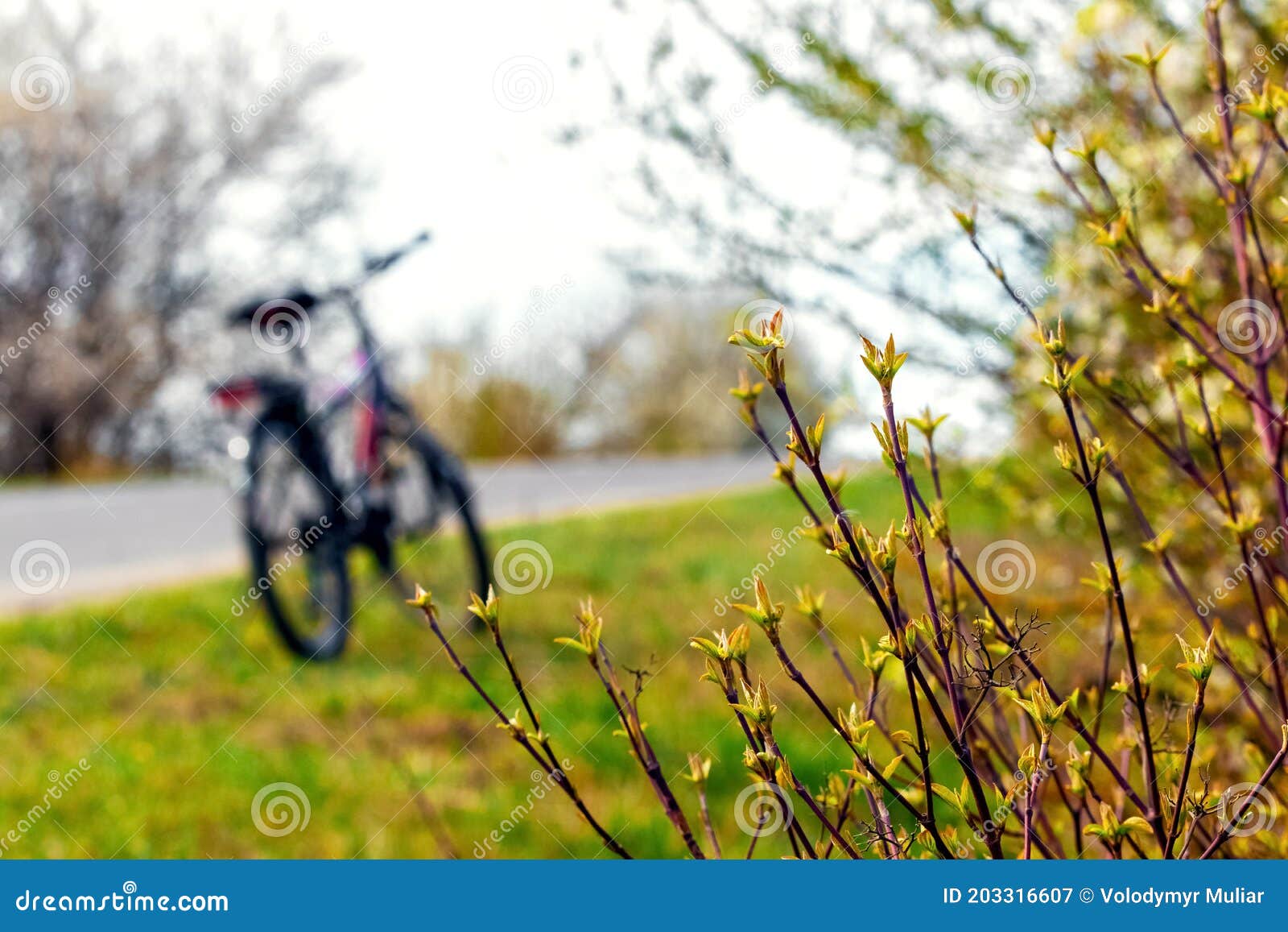 Bicycle by the Road in Spring. Cycling Stock Image - Image of ...