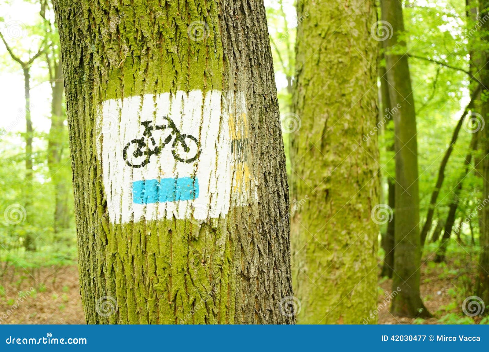 Bicycle route mark stock image. Image of forest, bark - 42030477
