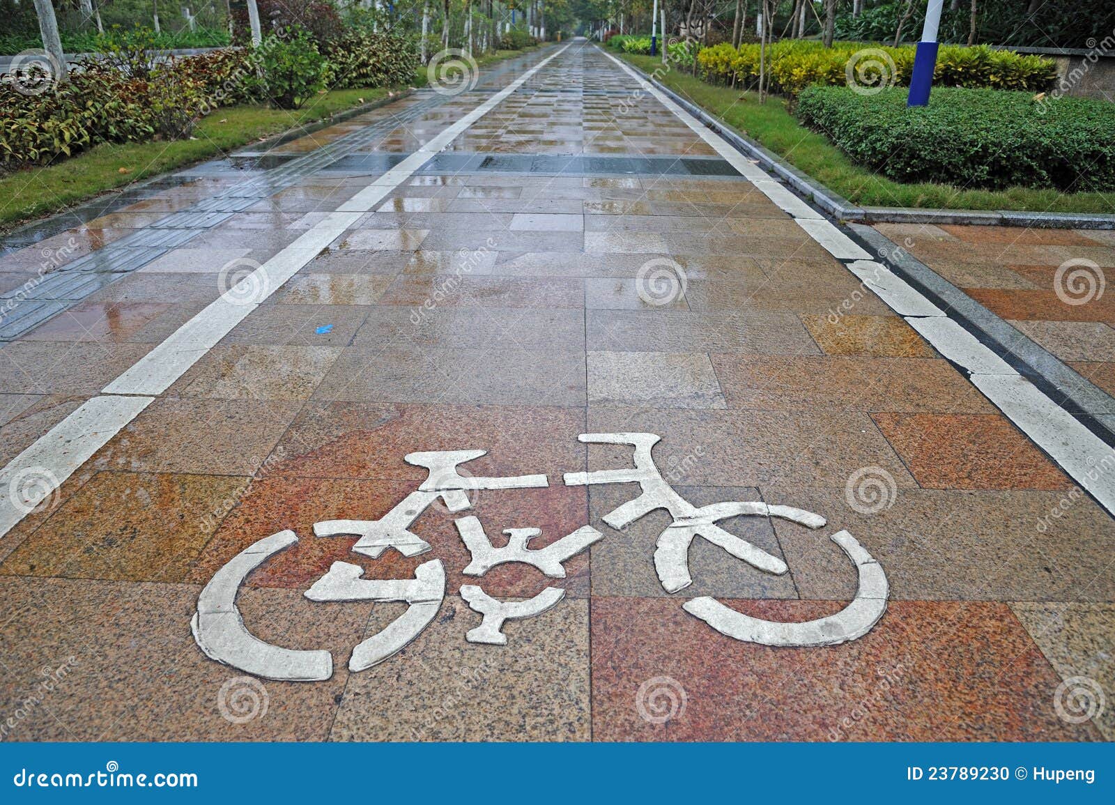 Bicycle route sign stock photo. Image of copy, bicycle - 23789230