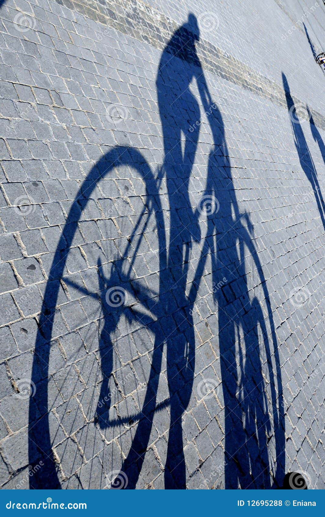 Bicycle shadow stock photo. Image of urban, fitness, bike - 12695288