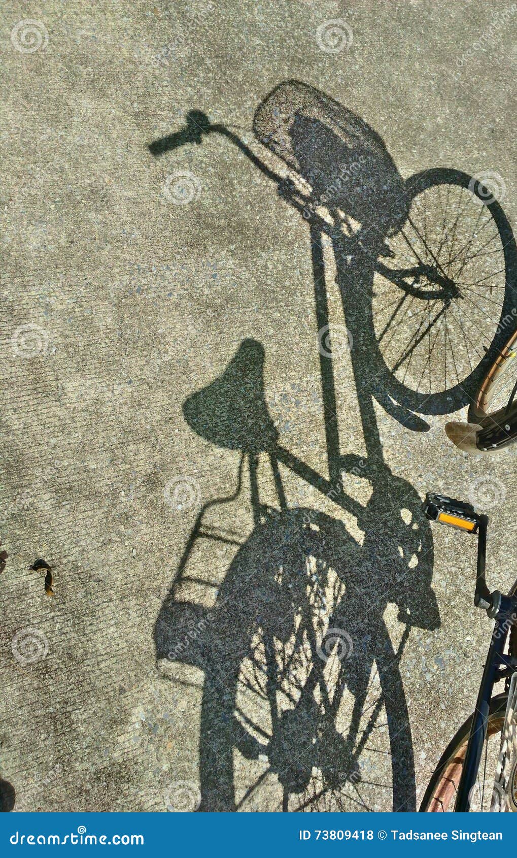 Bicycle shadow stock photo. Image of beautiful, back - 73809418