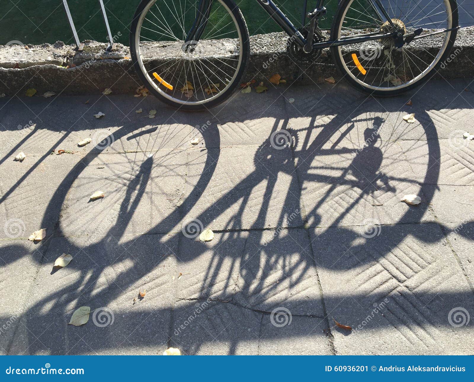 Bicycle shadow stock image. Image of exercise, abstract - 60936201