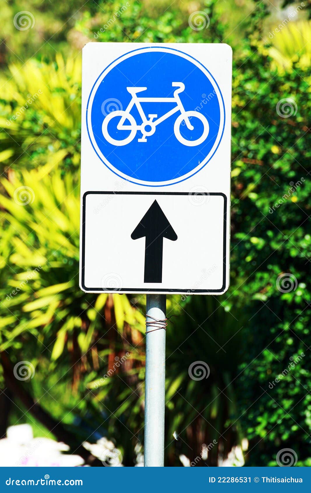 Bicycle sign in the park stock image. Image of paint - 22286531